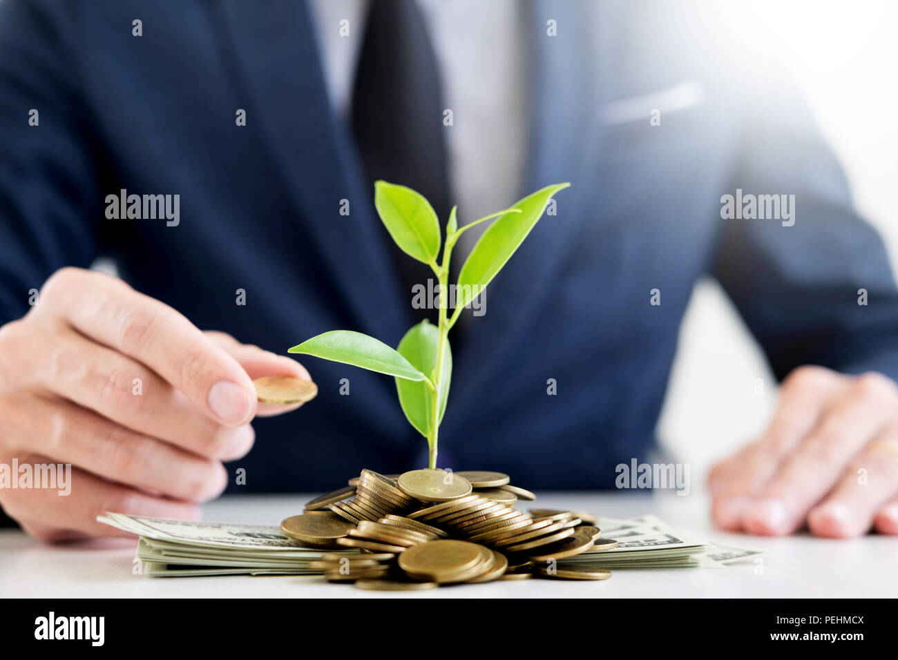 Business man hand make palm up with growing up money coins and sprout ...