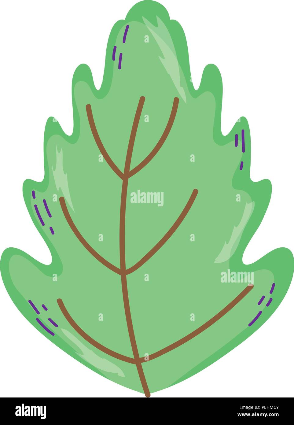 botany cute leaf exotic style Stock Vector Image & Art - Alamy