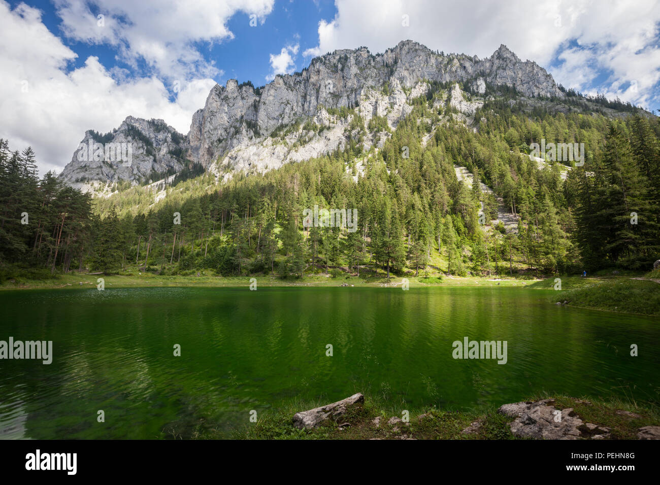 Alpine mountaine green lake. Gruner see, Austria Stock Photo - Alamy Alpine mountaine green lake. Gruner see, Austria Stock Photo - Alamy