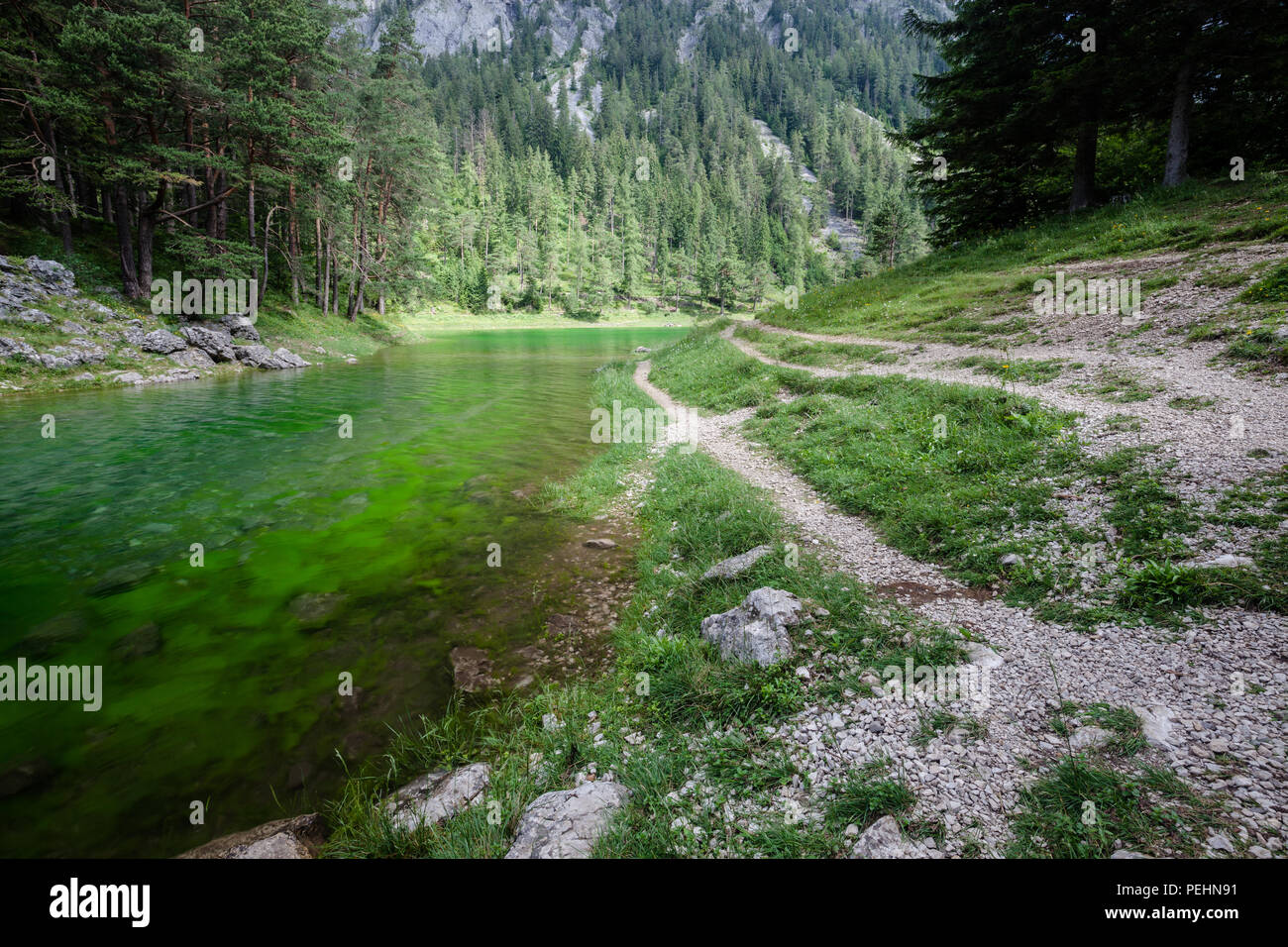Alpine mountaine green lake. Gruner see, Austria Stock Photo - Alamy