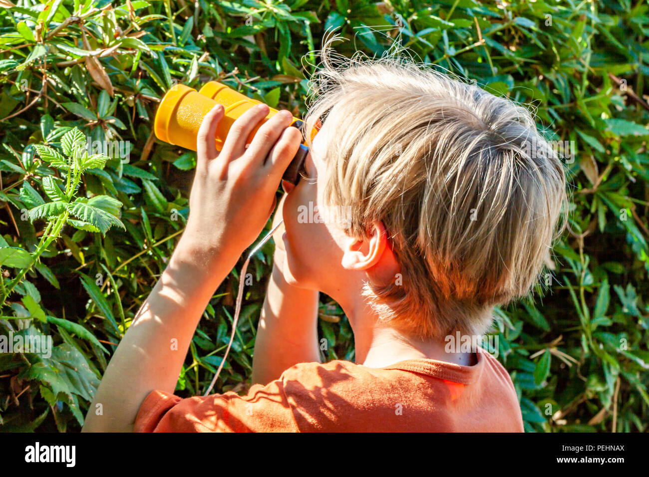 People Binoculars Safari High Resolution Stock Photography and Images ...
