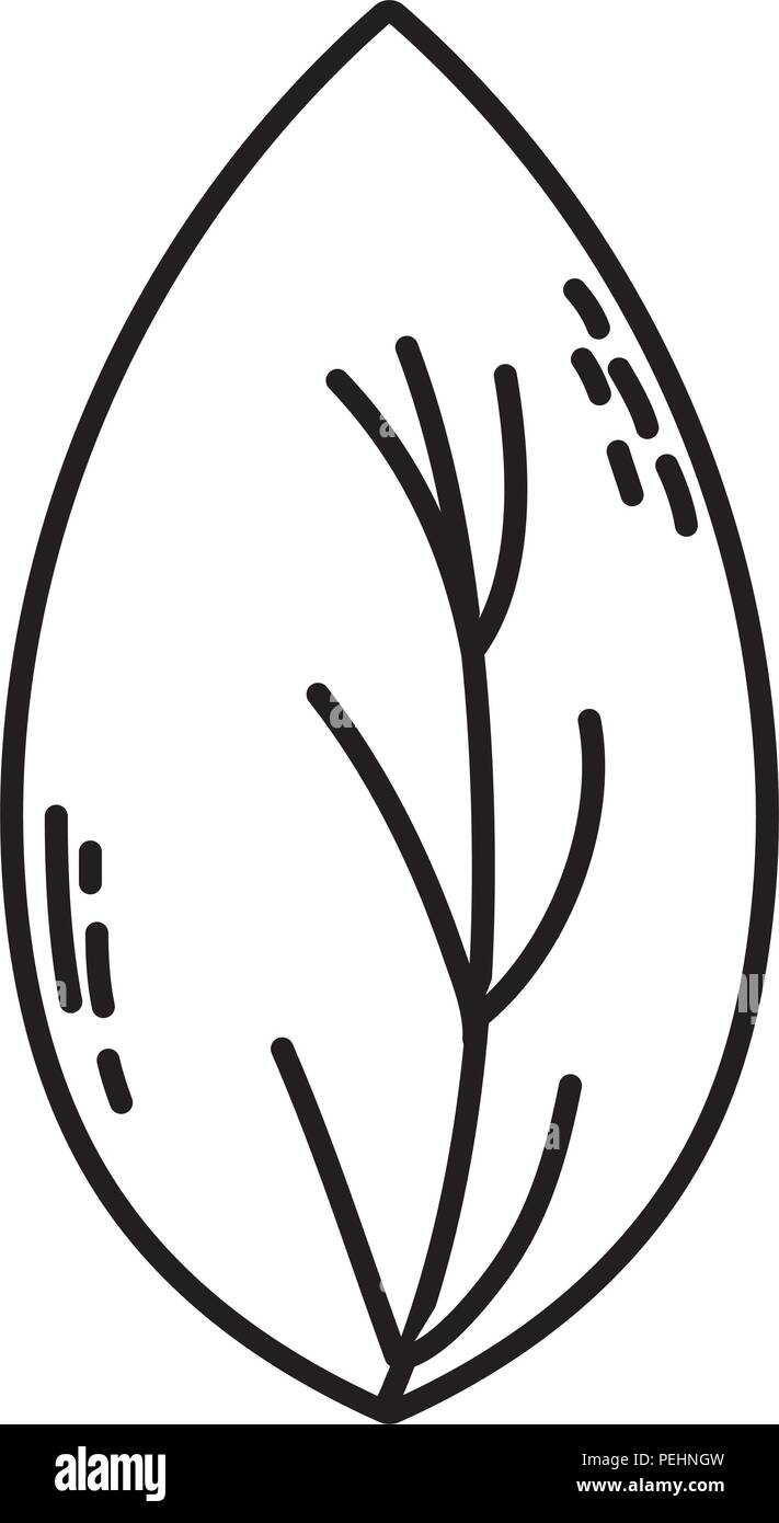 Nice leaf Stock Vector Images - Alamy