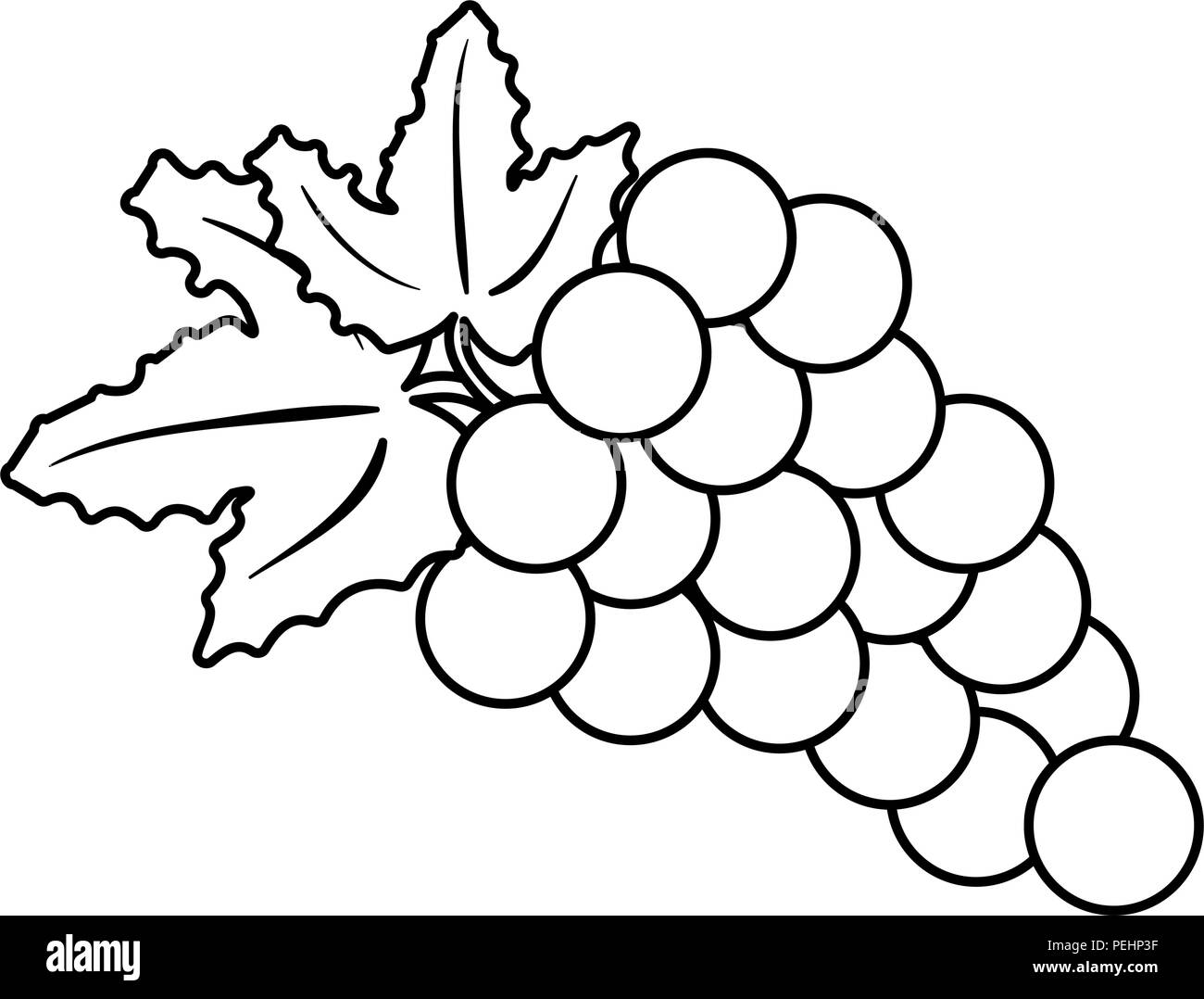 fresh grapes healthy food Stock Vector Image & Art - Alamy