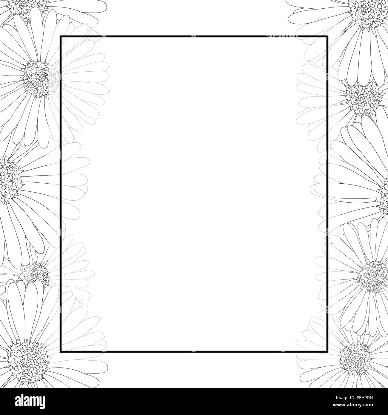 Aster, Daisy Flower Outline Banner Card Border. Vector Illustration ...