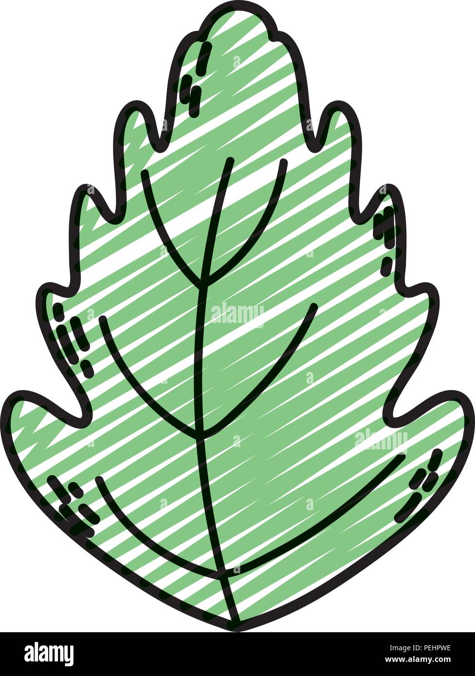 doodle botany cute leaf exotic style Stock Vector Image & Art - Alamy