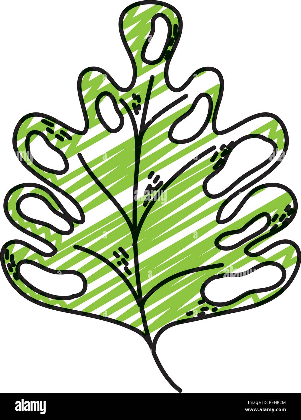 doodle botany beauty leaf exotic style Stock Vector Image & Art - Alamy