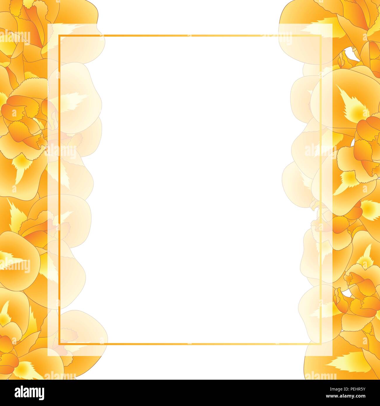 Orange Iris Flower Banner Card Border. Vector Illustration Stock Vector ...