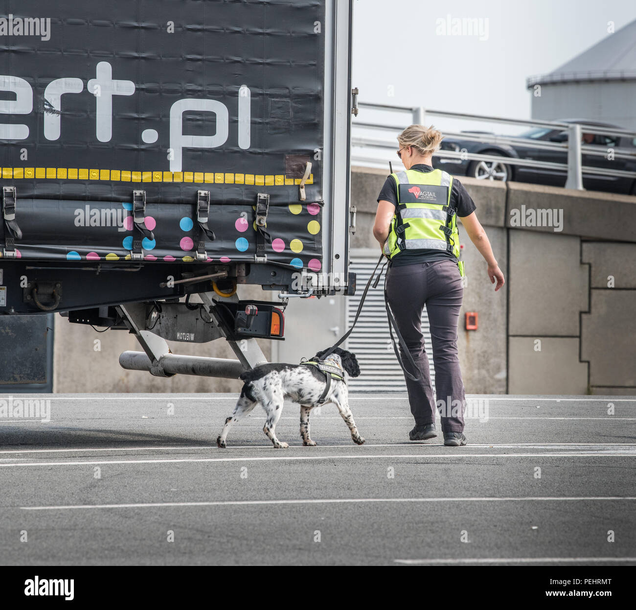 Detection dog handler hi-res stock photography and images - Alamy