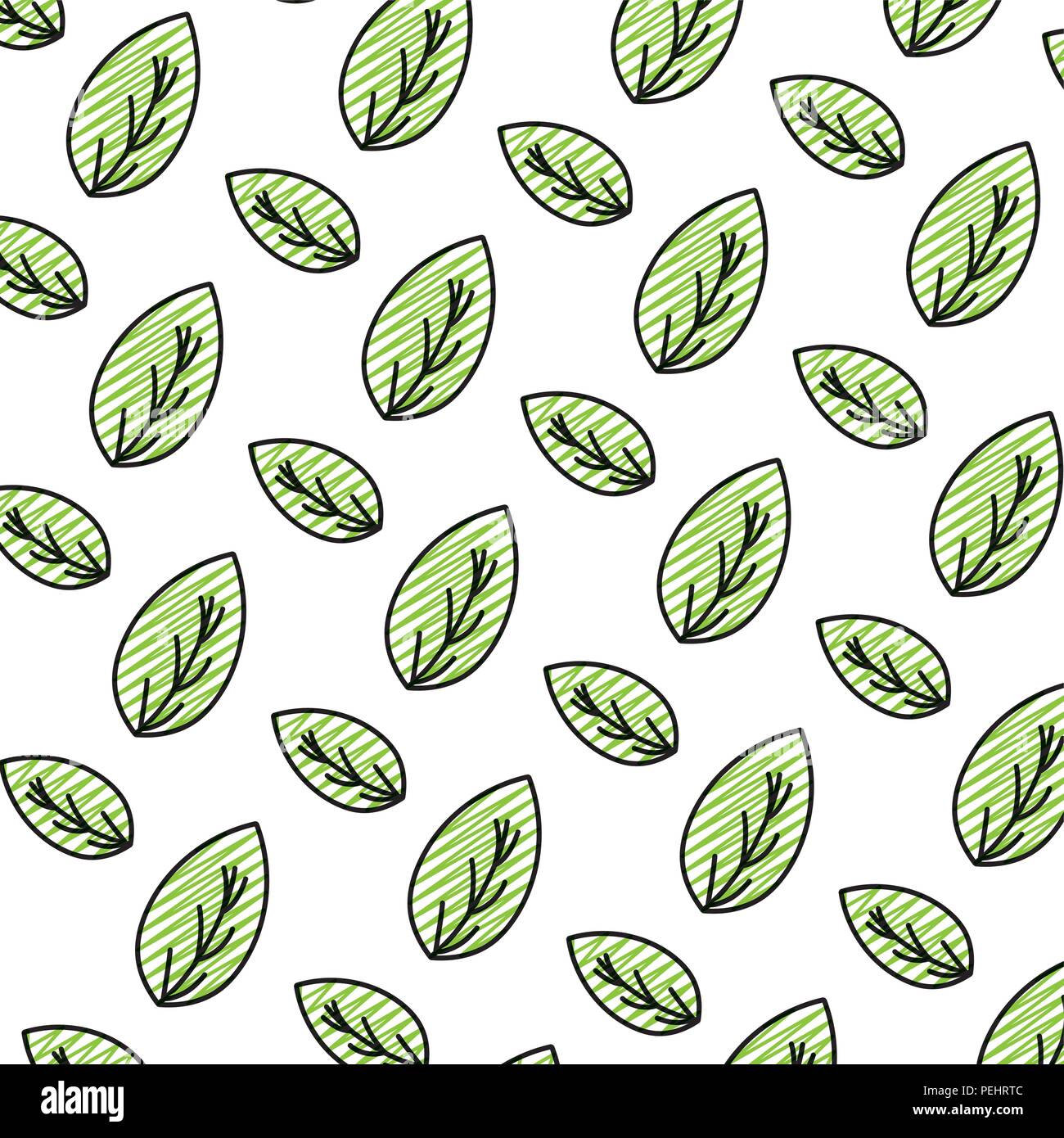 doodle botany nice leaf exotic background Stock Vector Image & Art - Alamy