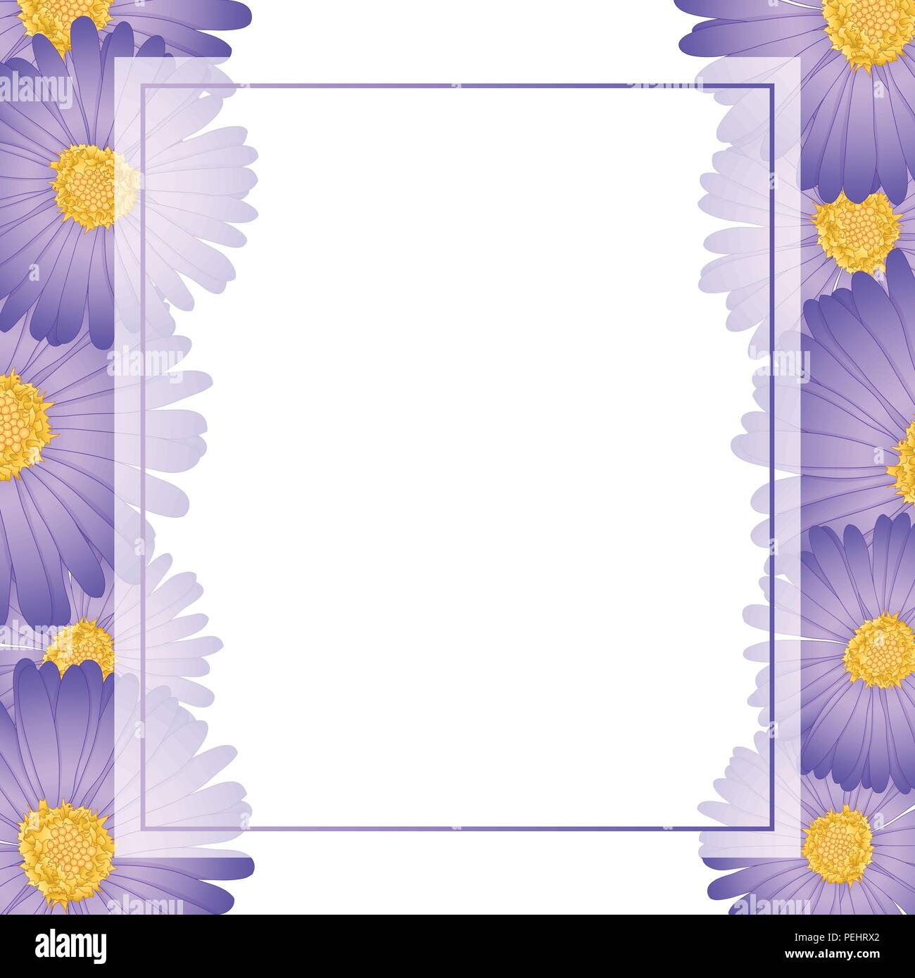 Purple Aster, Daisy Flower Banner Card Border. Vector Illustration ...