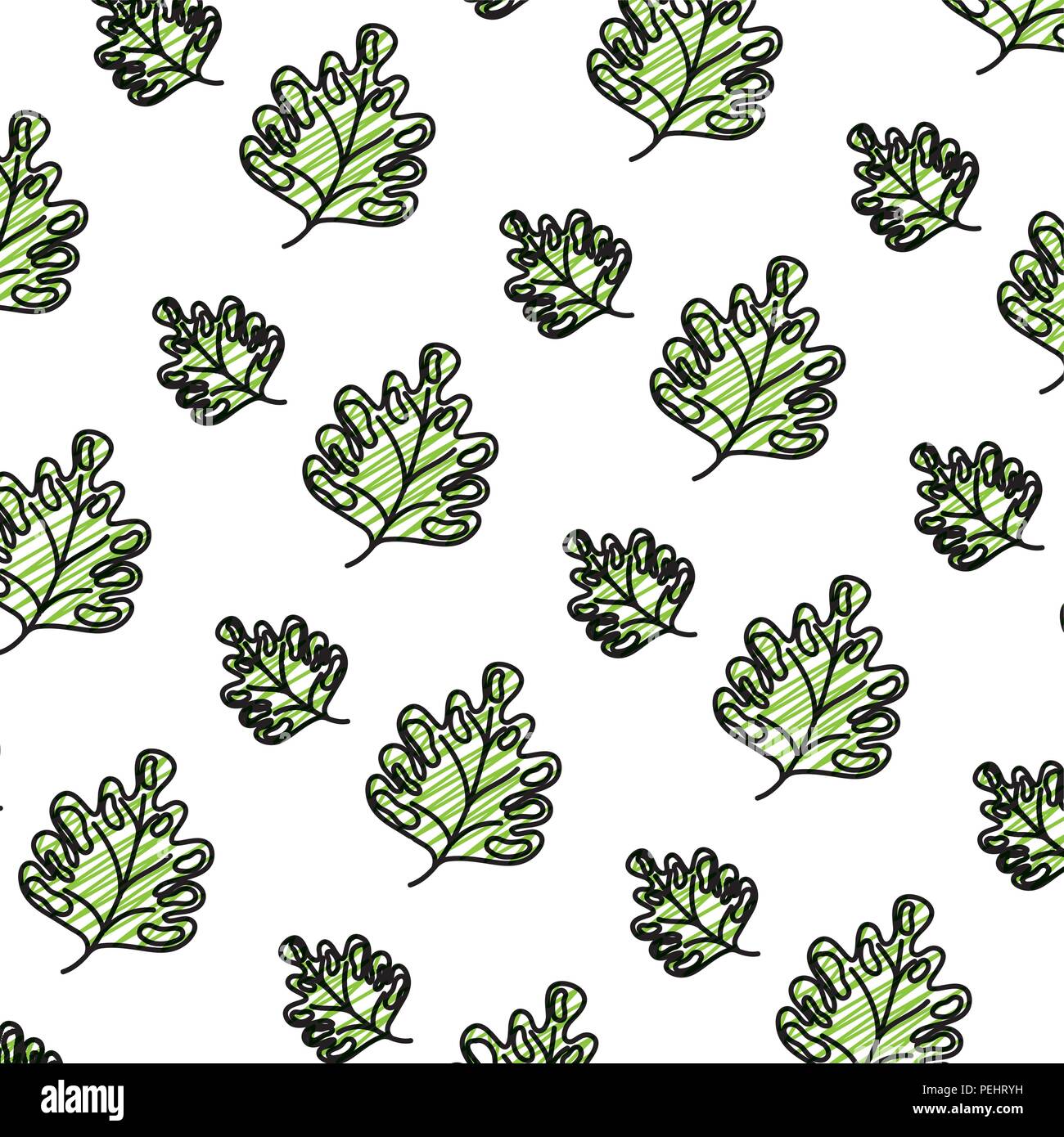 doodle botany beauty leaf exotic background Stock Vector Image & Art ...