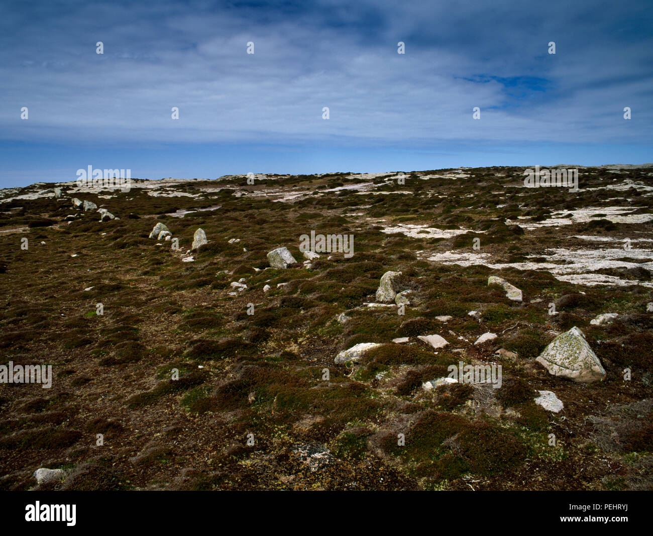 View NNW at the remains (a line of small stones) of a Bronze Age field ...