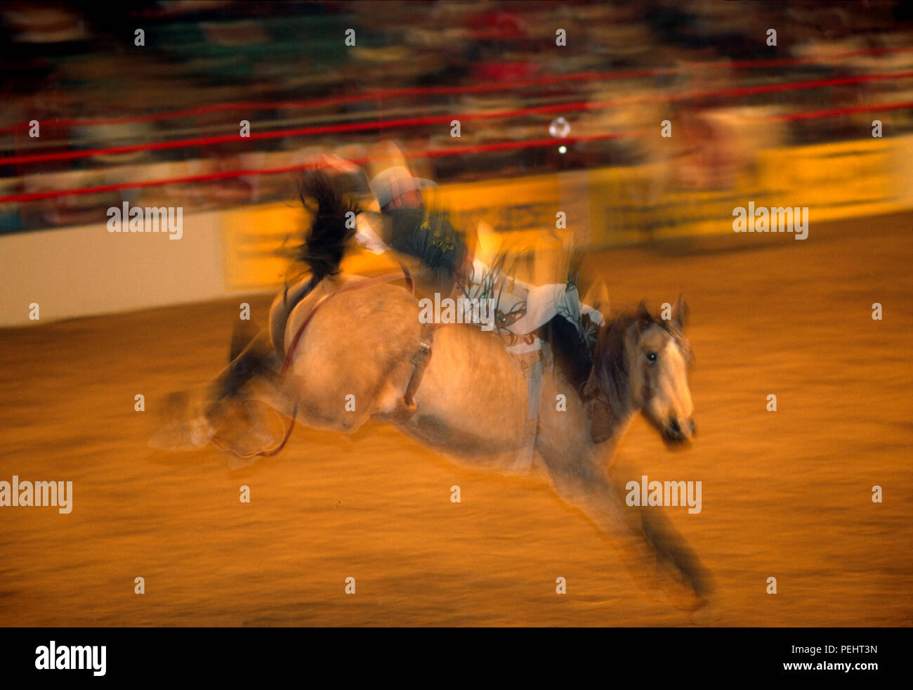 Professional rodeo show hi-res stock photography and images - Alamy