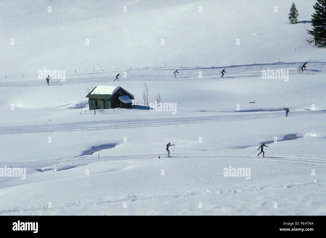 Professional skiers hi-res stock photography and images - Alamy