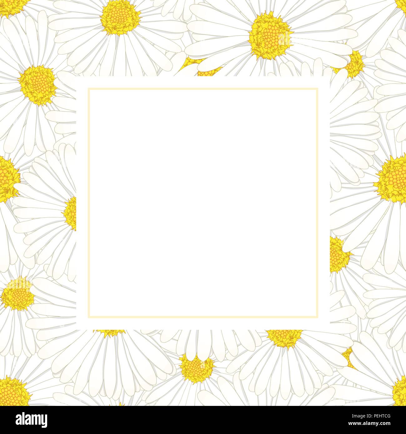 White Aster, Daisy Flower Banner Card. Vector Illustration Stock Vector ...