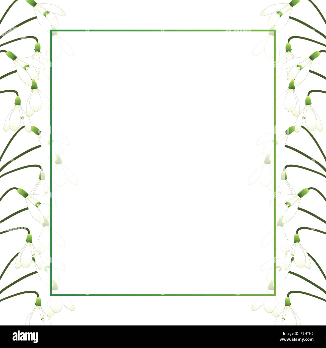 White Snowdrop Flower Banner Card Border. Vector Illustration Stock ...