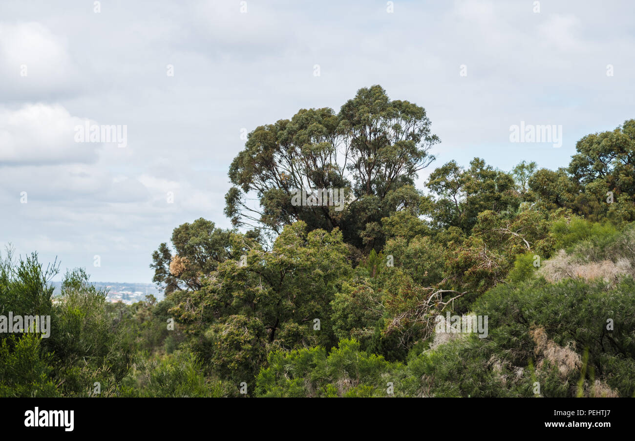 Perth, Western Australia, Oceania Stock Photo - Alamy