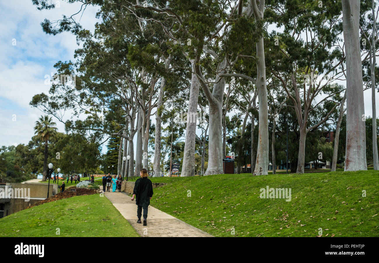 Perth, Western Australia, Oceania Stock Photo - Alamy