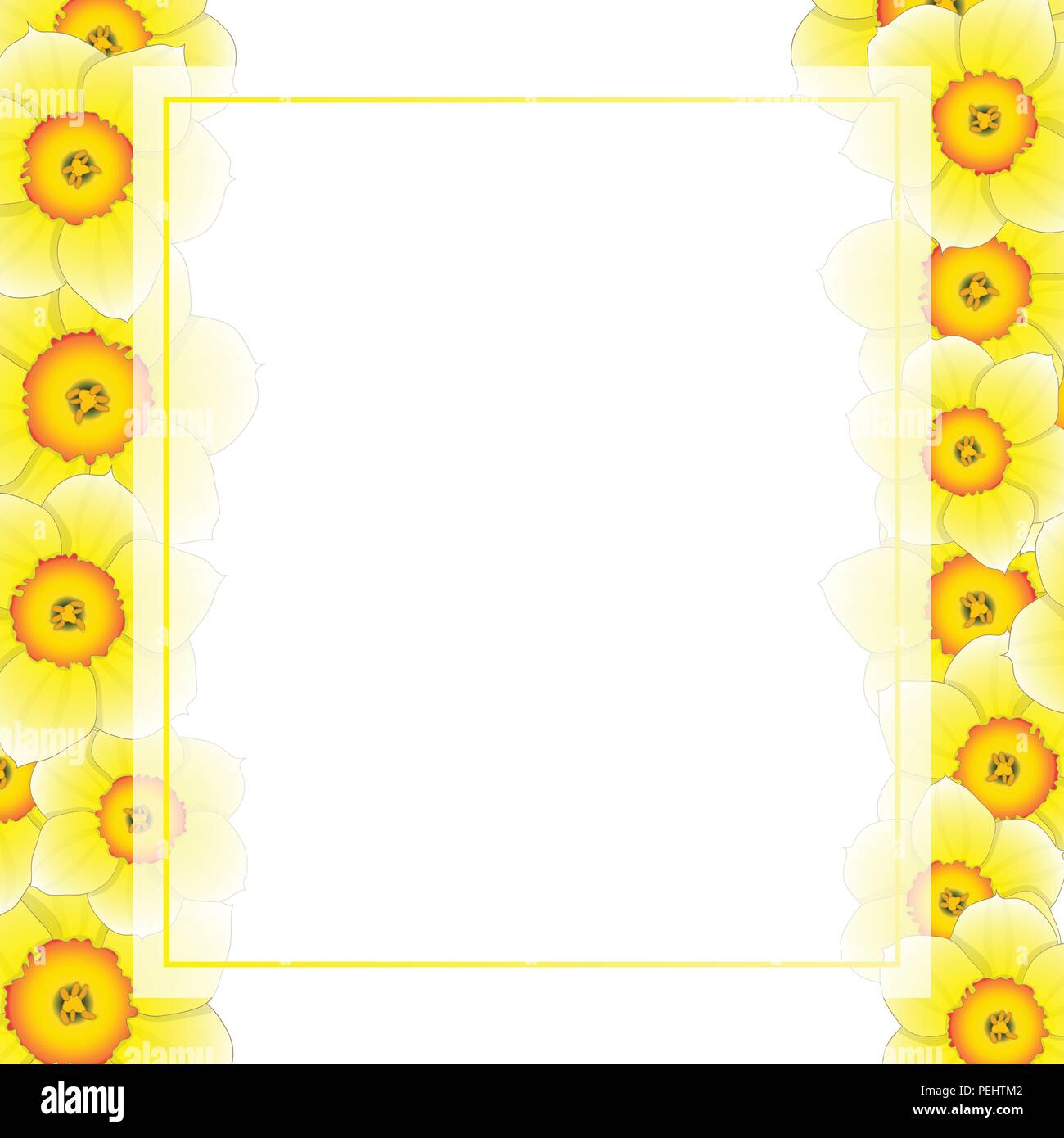 Yellow Daffodil - Narcissus Flower Banner Card Border. Vector ...