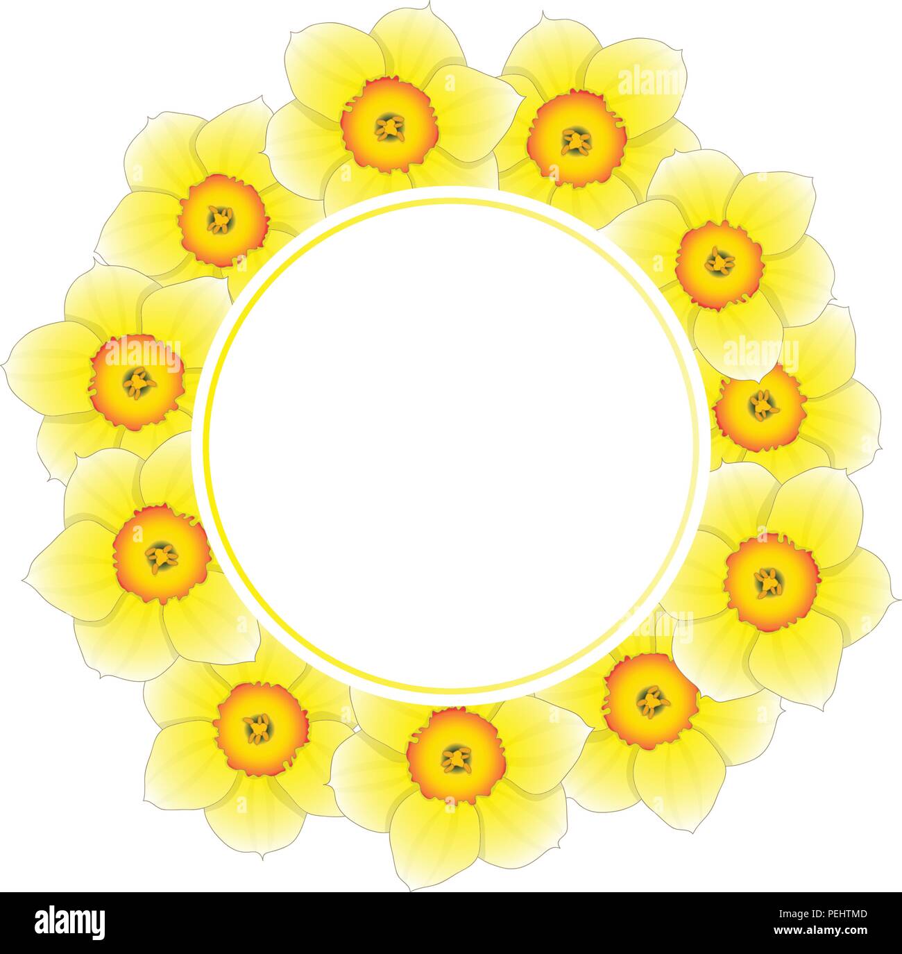 Yellow Daffodil - Narcissus Flower Banner Wreath. Vector Illustration ...