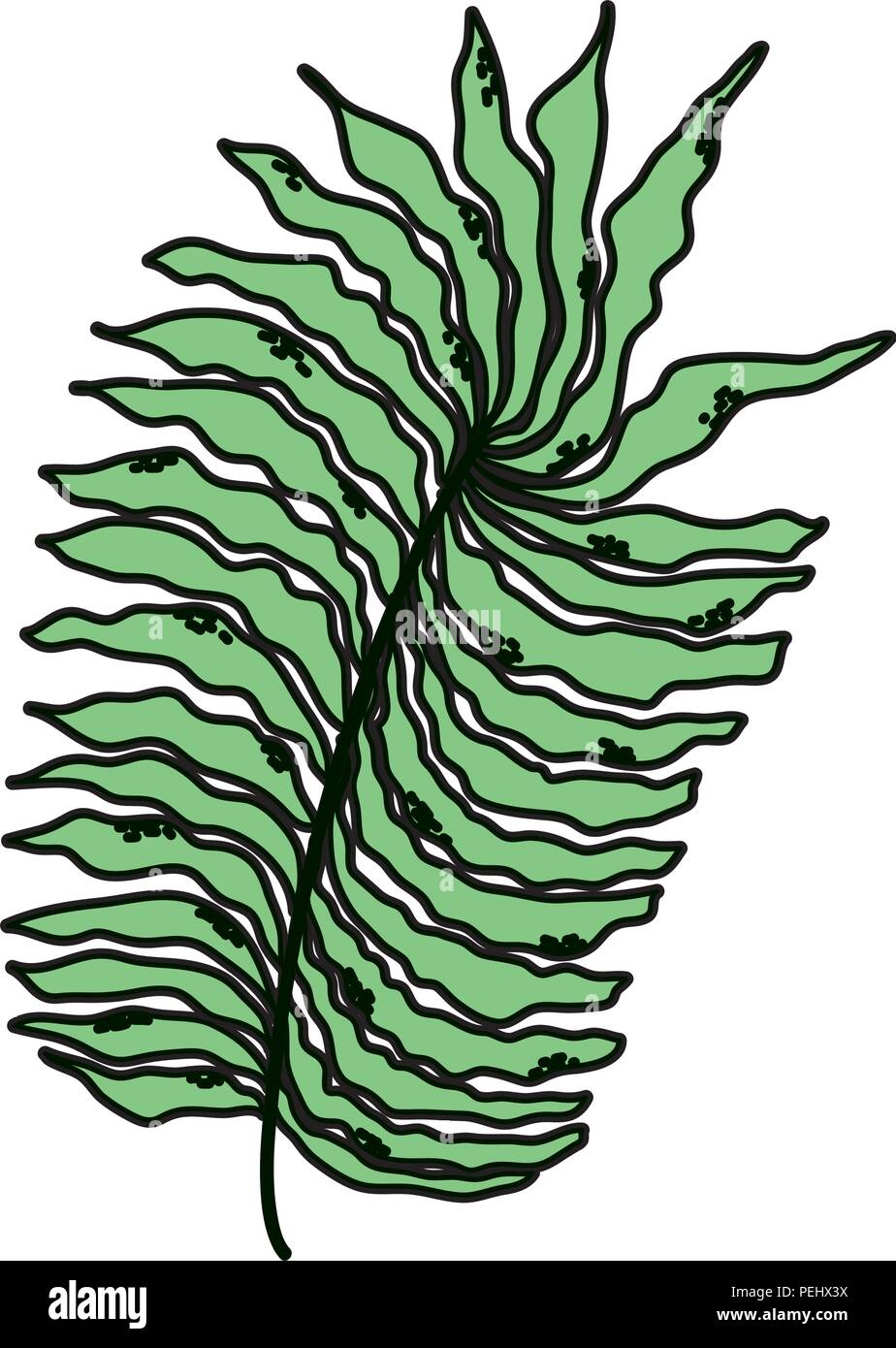 color branch exotic plant leaves style Stock Vector Image & Art - Alamy