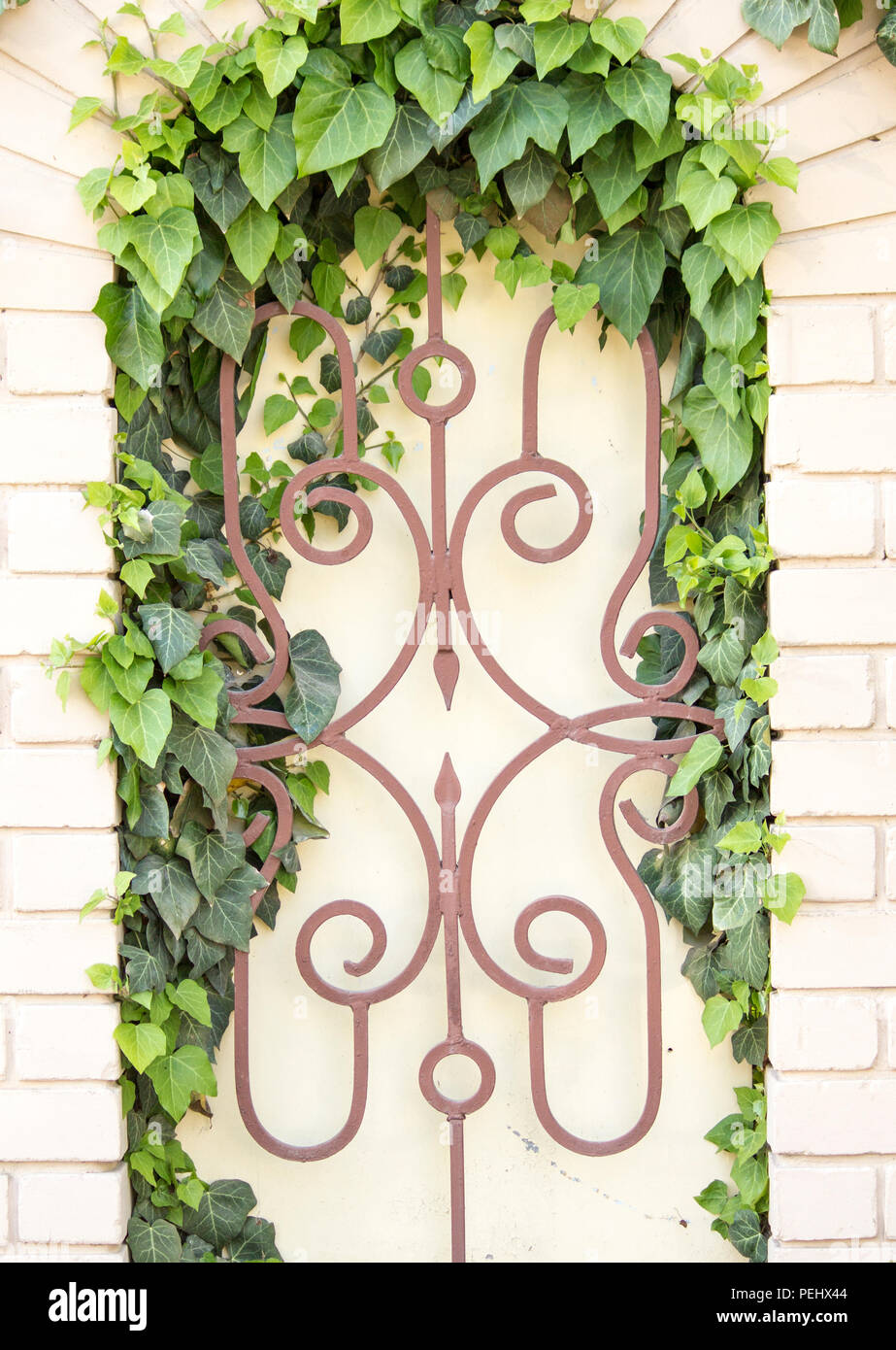 Ivy Covered Garden Gate Stock Photos & Ivy Covered Garden Gate Stock ...