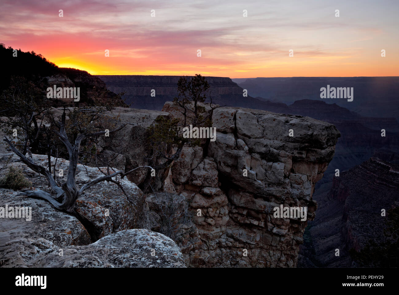 AZ00272-00...ARIZONA - Sunset from Grand View Point in Grand National ...