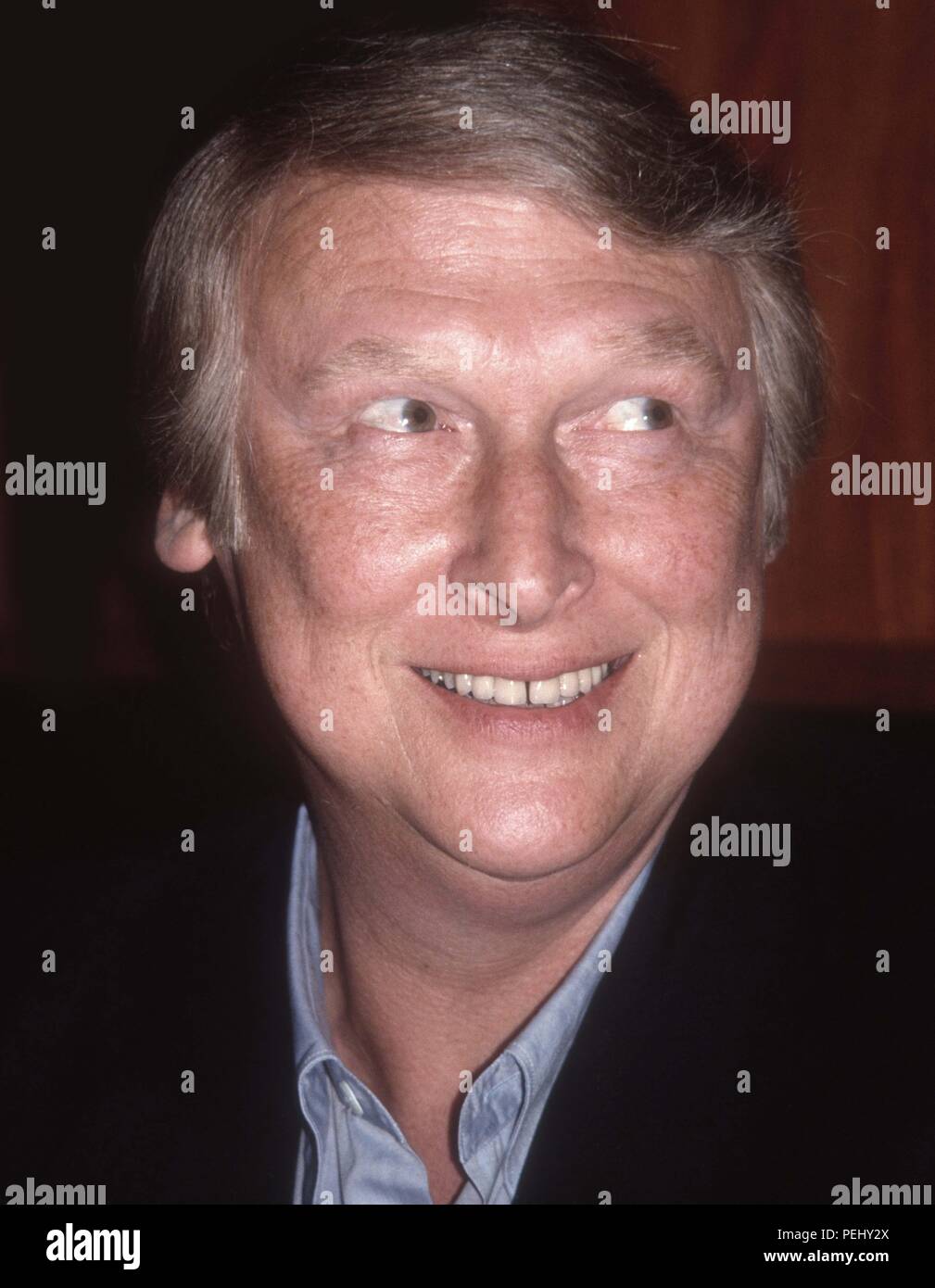 #MikeNichols 1990 Photo By Adam Scull/PHOTOlink.net / MediaPunch Stock ...