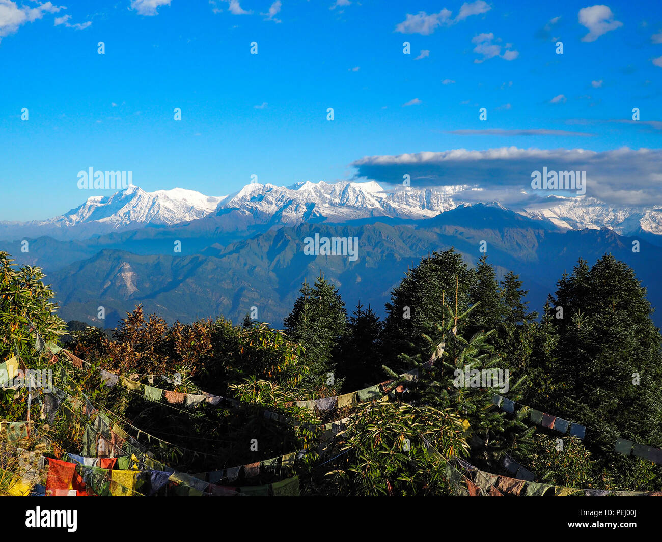 Greenery in the himalayas hi-res stock photography and images - Alamy
