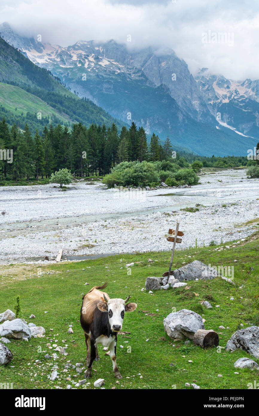 The Valbona River Valley, part of the Valbona National Park, in North ...