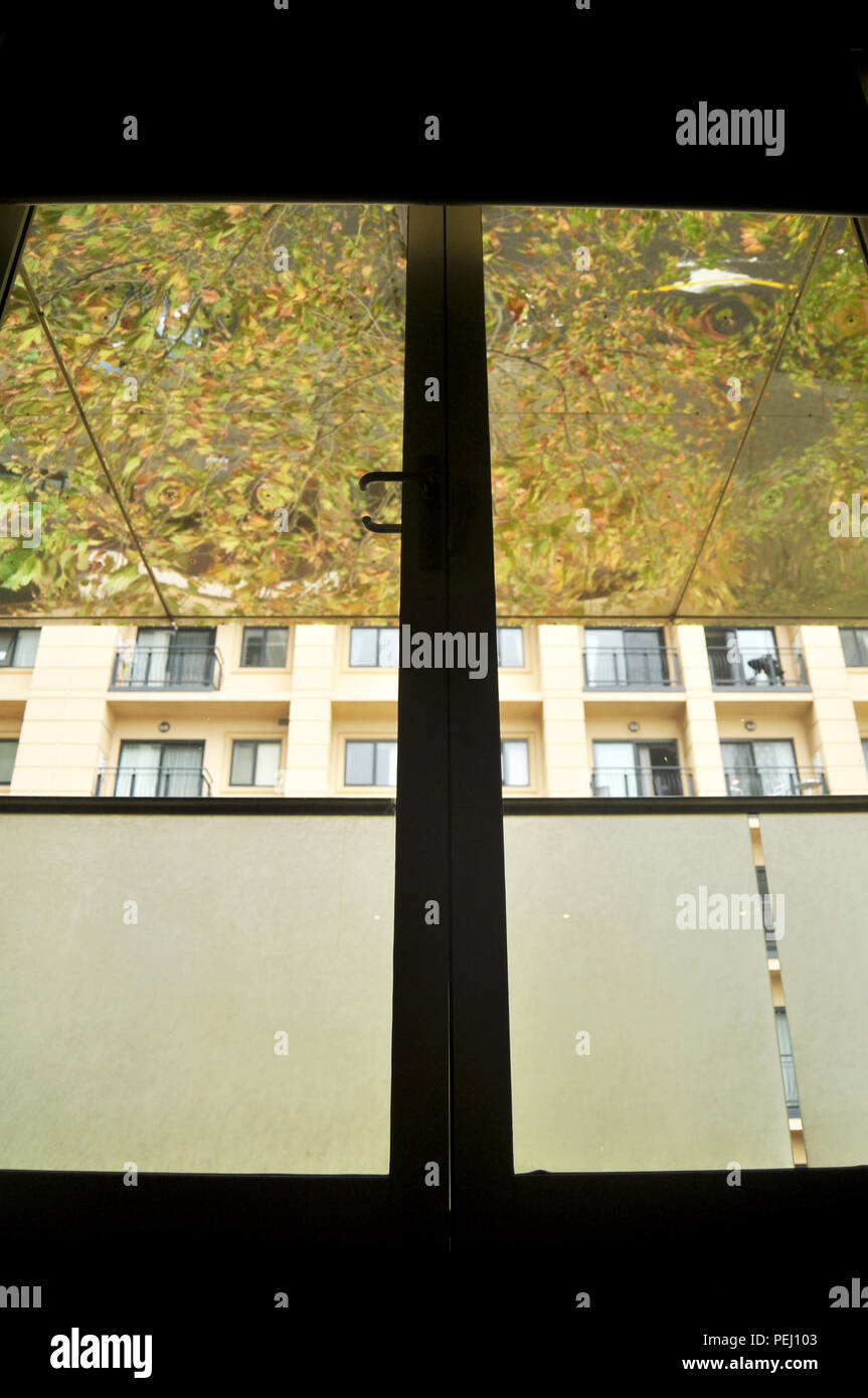 Reflection on window at room of apartment in morning time at Hay street ...