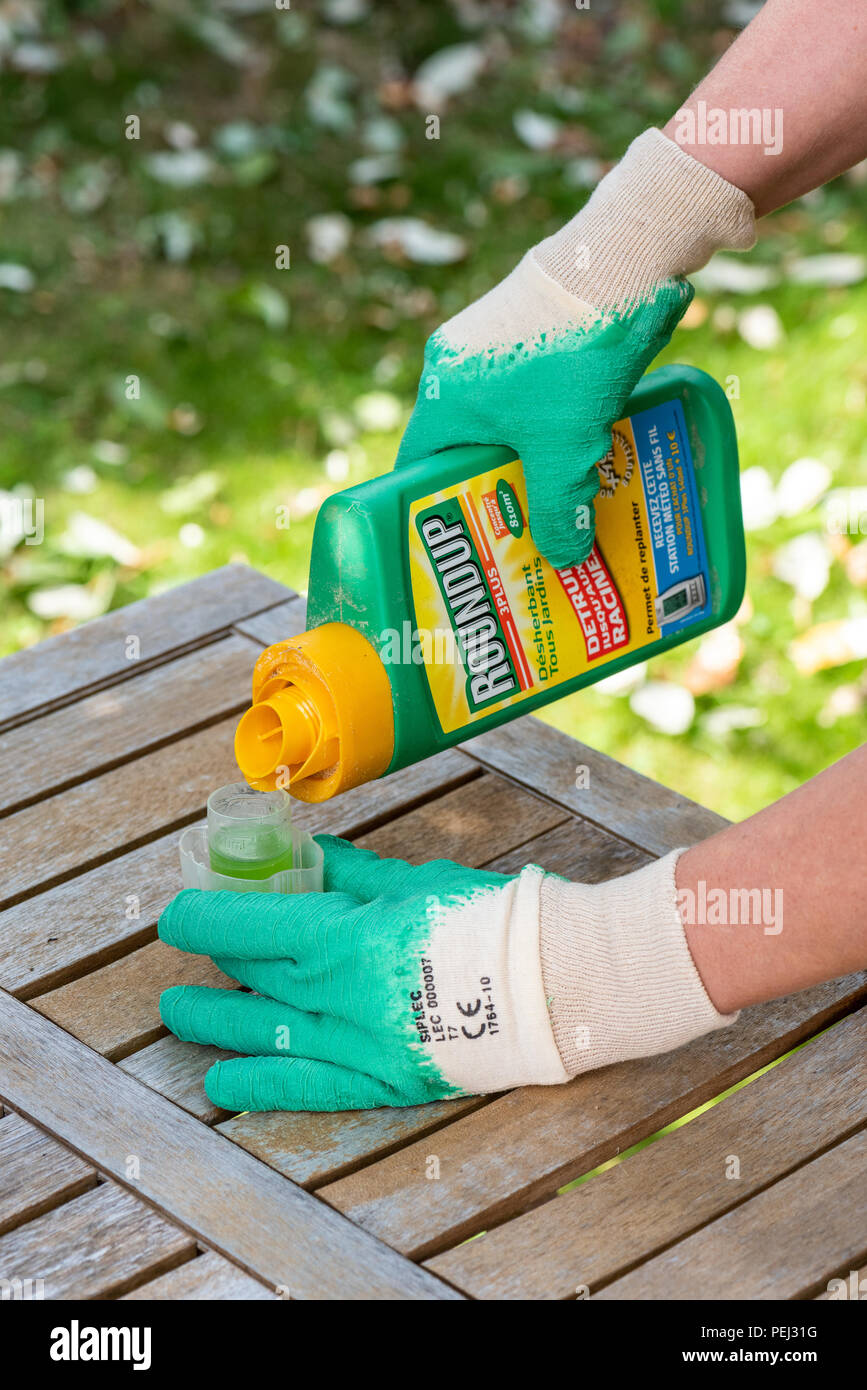 Paris, France - August 15, 2018 : Gardener using Roundup herbicide in a ...