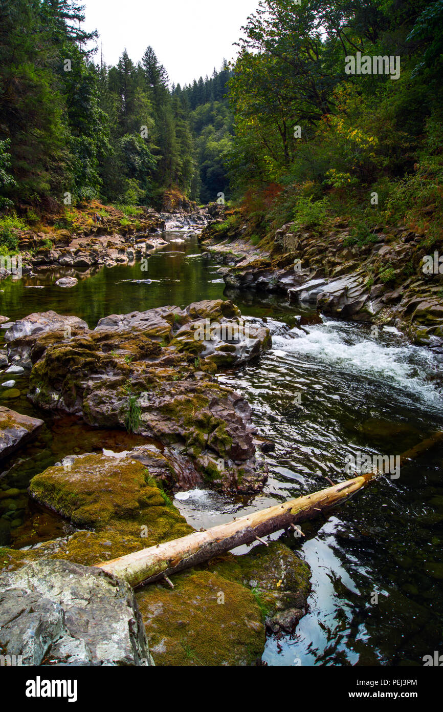 Lewis fork hi-res stock photography and images - Alamy