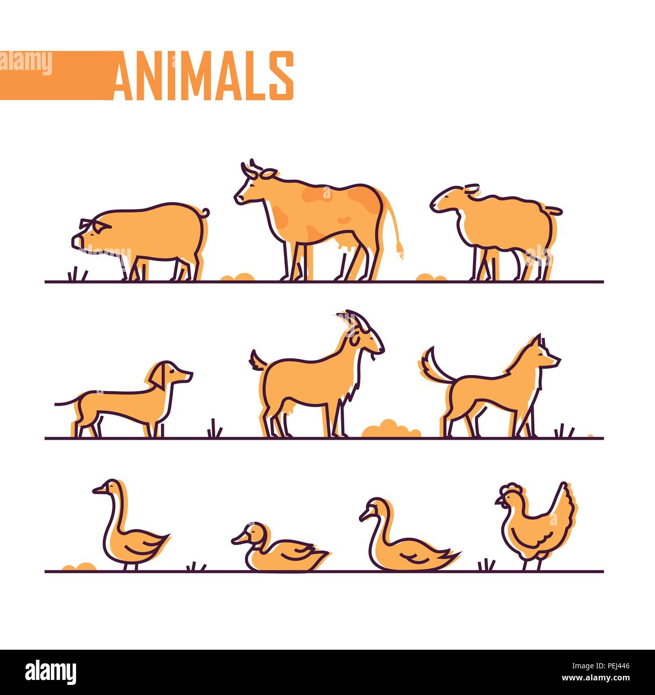 Set of farm animals - line design style colorful illustration Stock ...