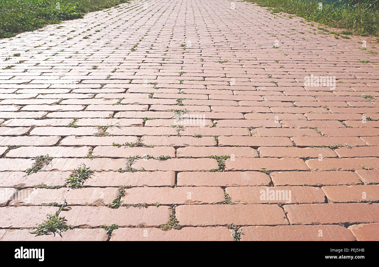Close up view of pathway made of red brick with small bushes of grass ...