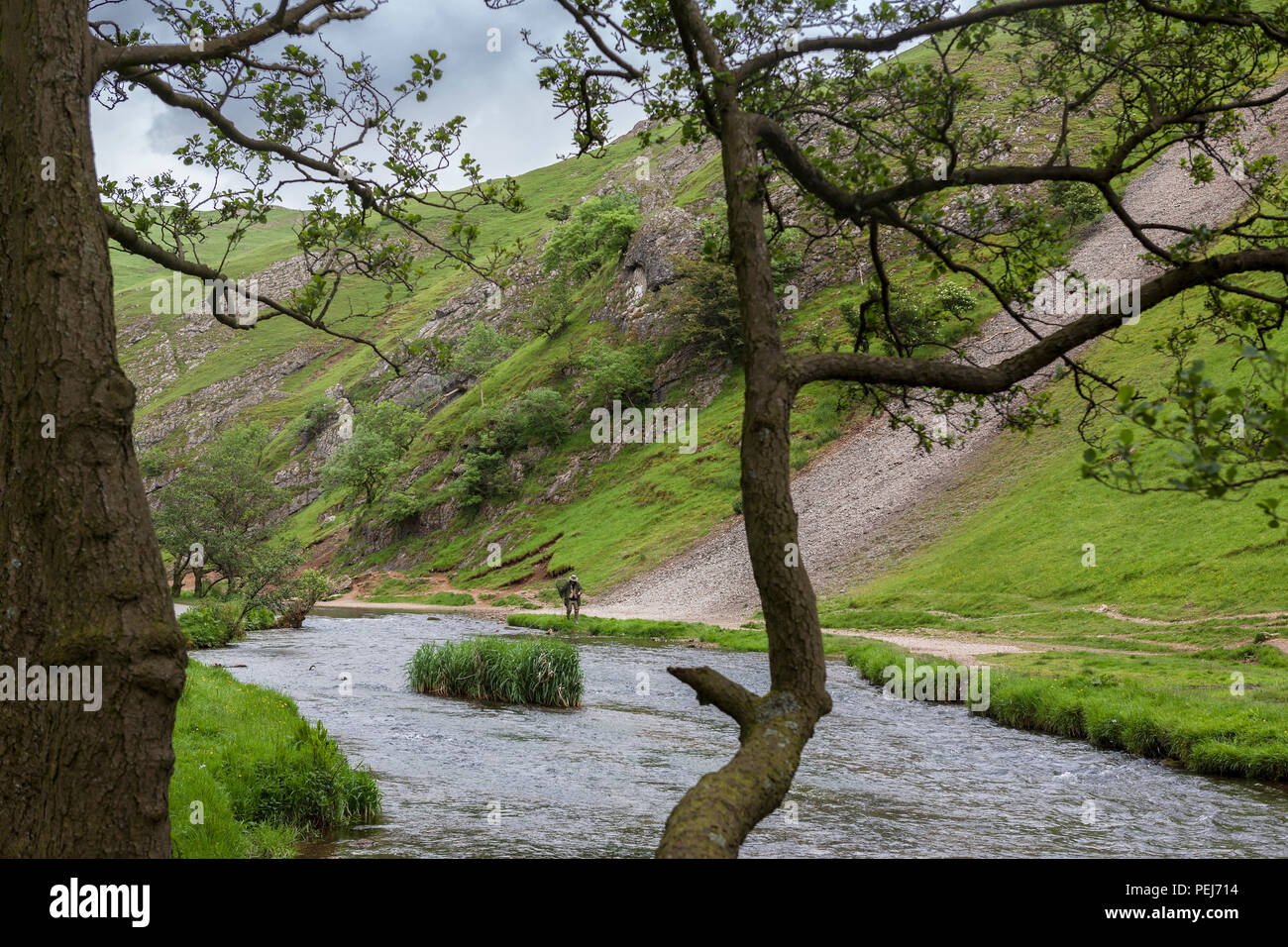 Fly-fishing on the River Dove near Thorpe Cloud, Dovedale, Derbyshire ...