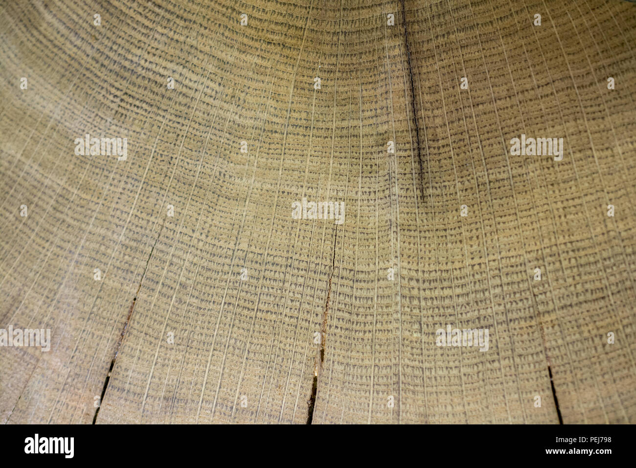 Wood texture with natural patterns as a background Stock Photo - Alamy