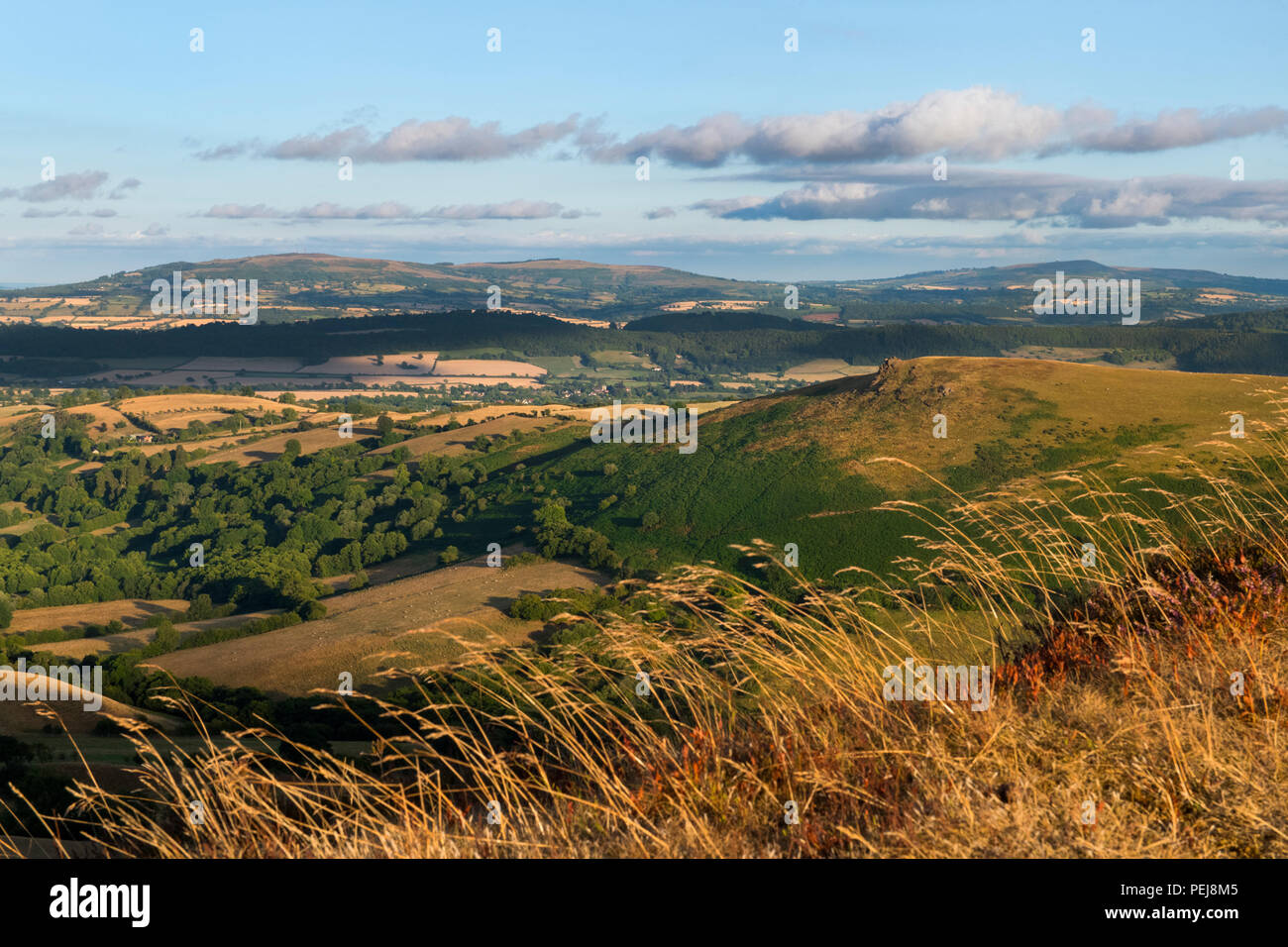 Willstone hi-res stock photography and images - Alamy