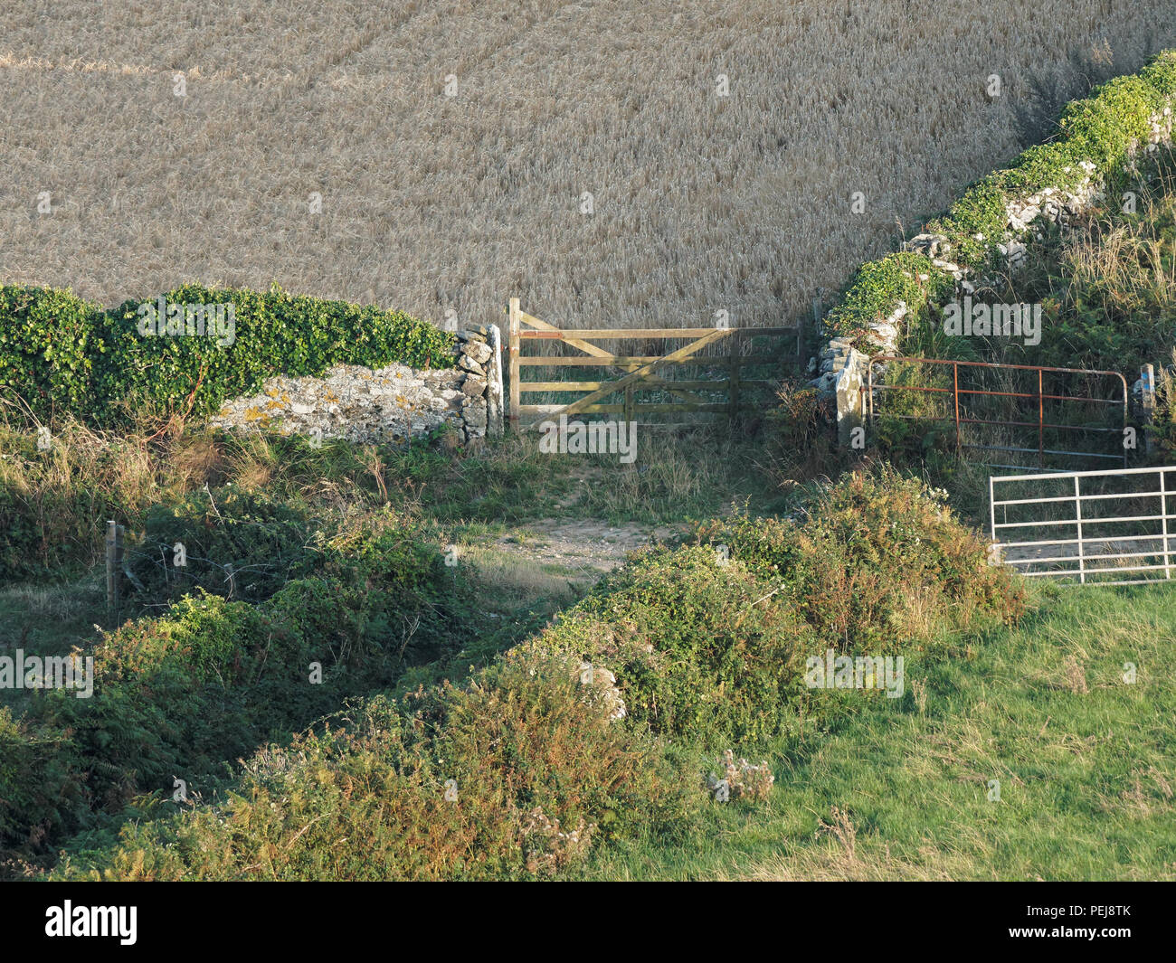 East Prawle, South Hams, Devon UK Stock Photo - Alamy
