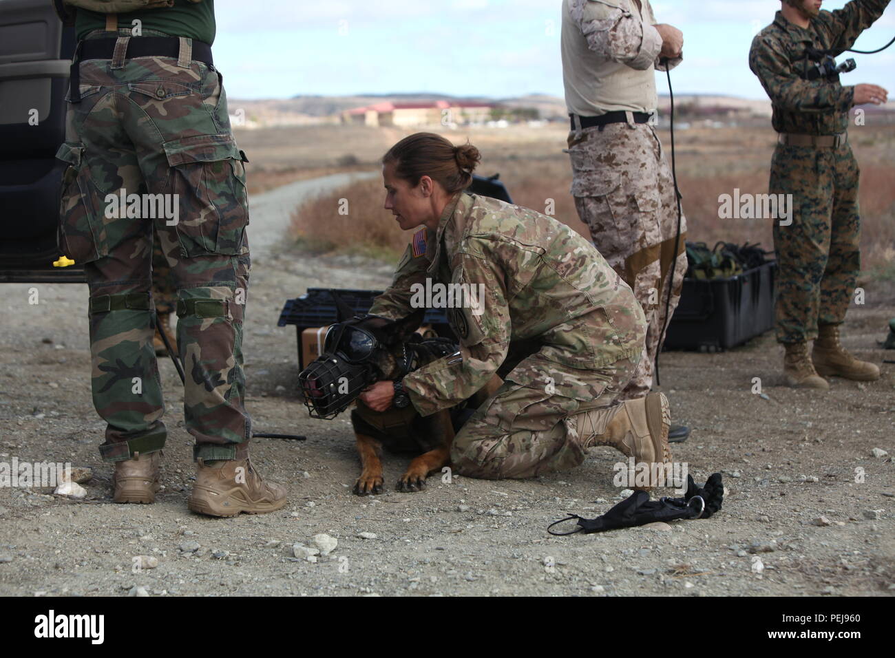 A U.S. Marine Corps Multi-Purpose Canine (MPC) with Marine Corps Forces ...
