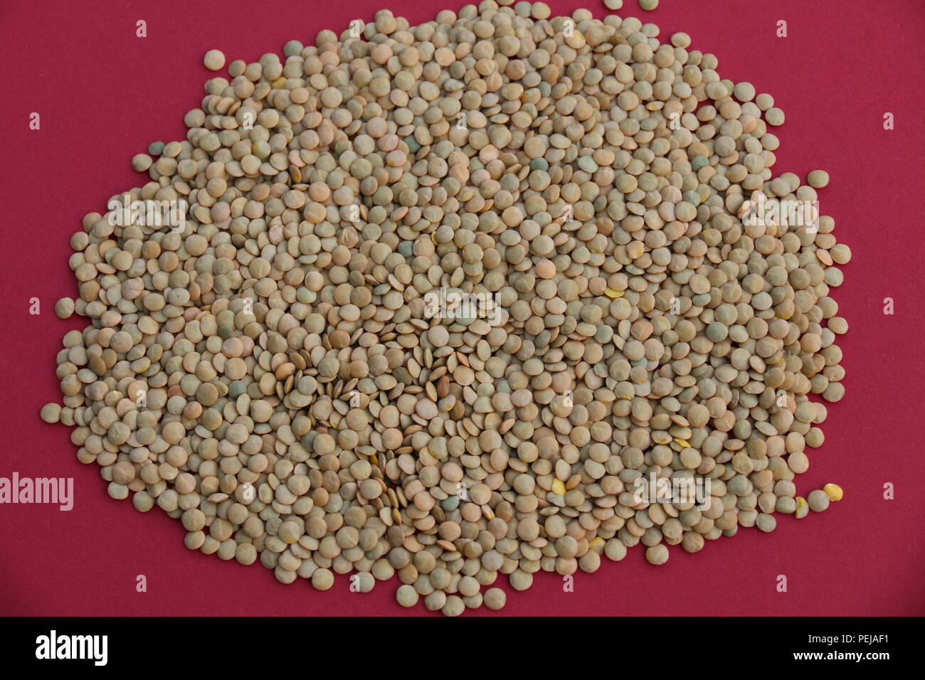 Lens shaped seeds hi-res stock photography and images - Alamy