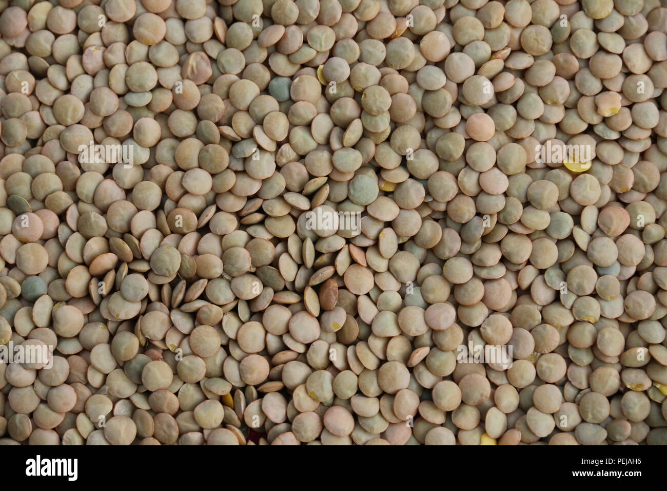 Lens Shaped Seeds High Resolution Stock Photography and Images - Alamy