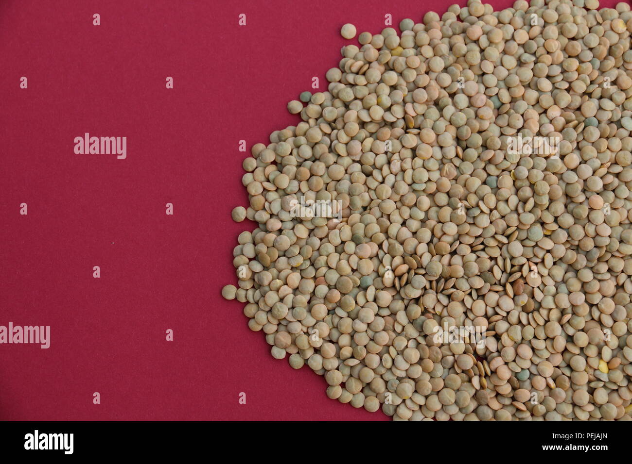 Lentil - Lens culinaris Stock Photo - Alamy