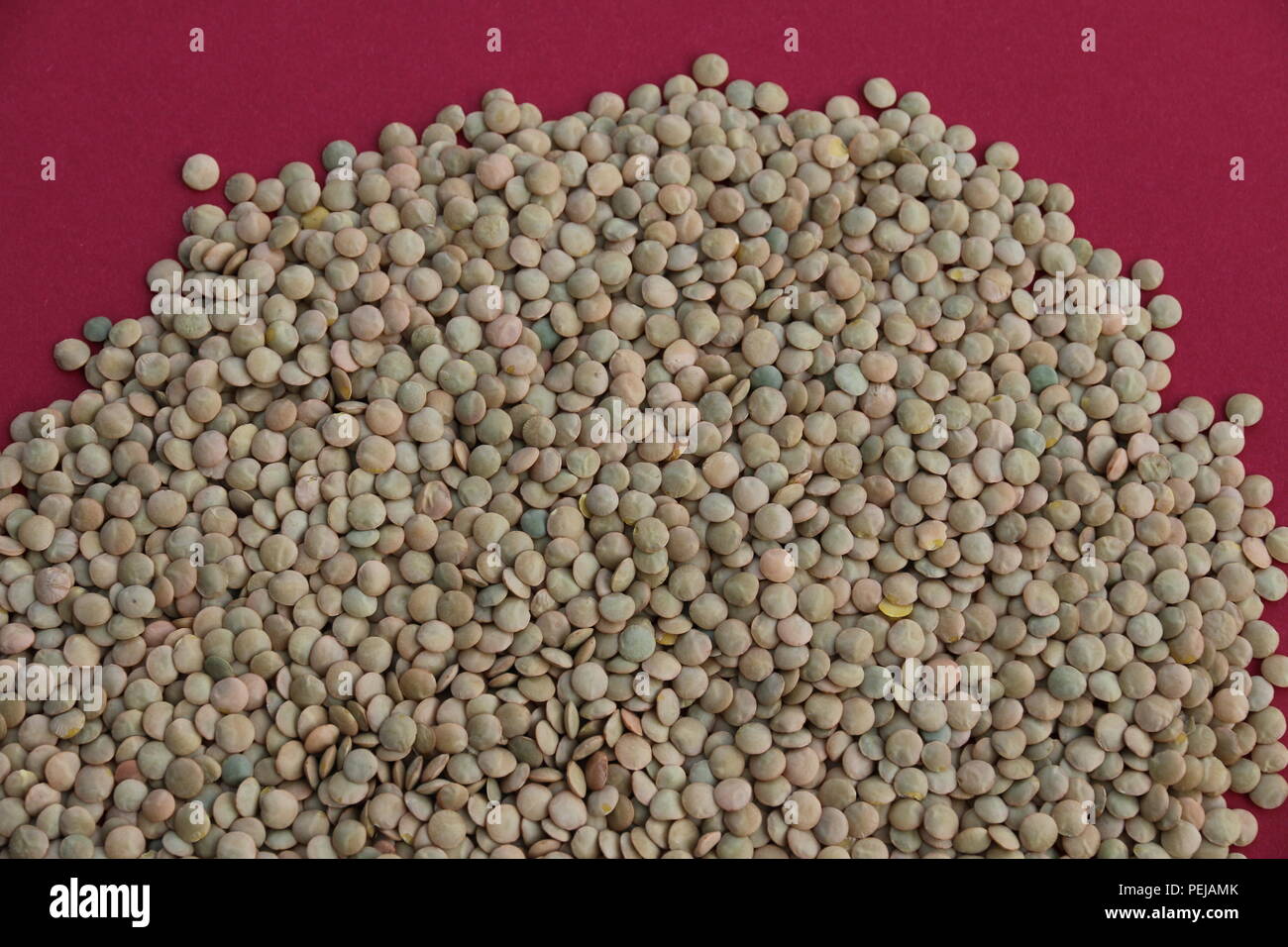 Lens shaped seeds hi-res stock photography and images - Alamy