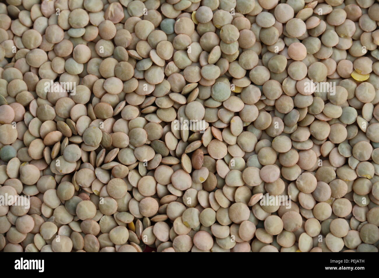 Lens Shaped Seeds High Resolution Stock Photography and Images - Alamy