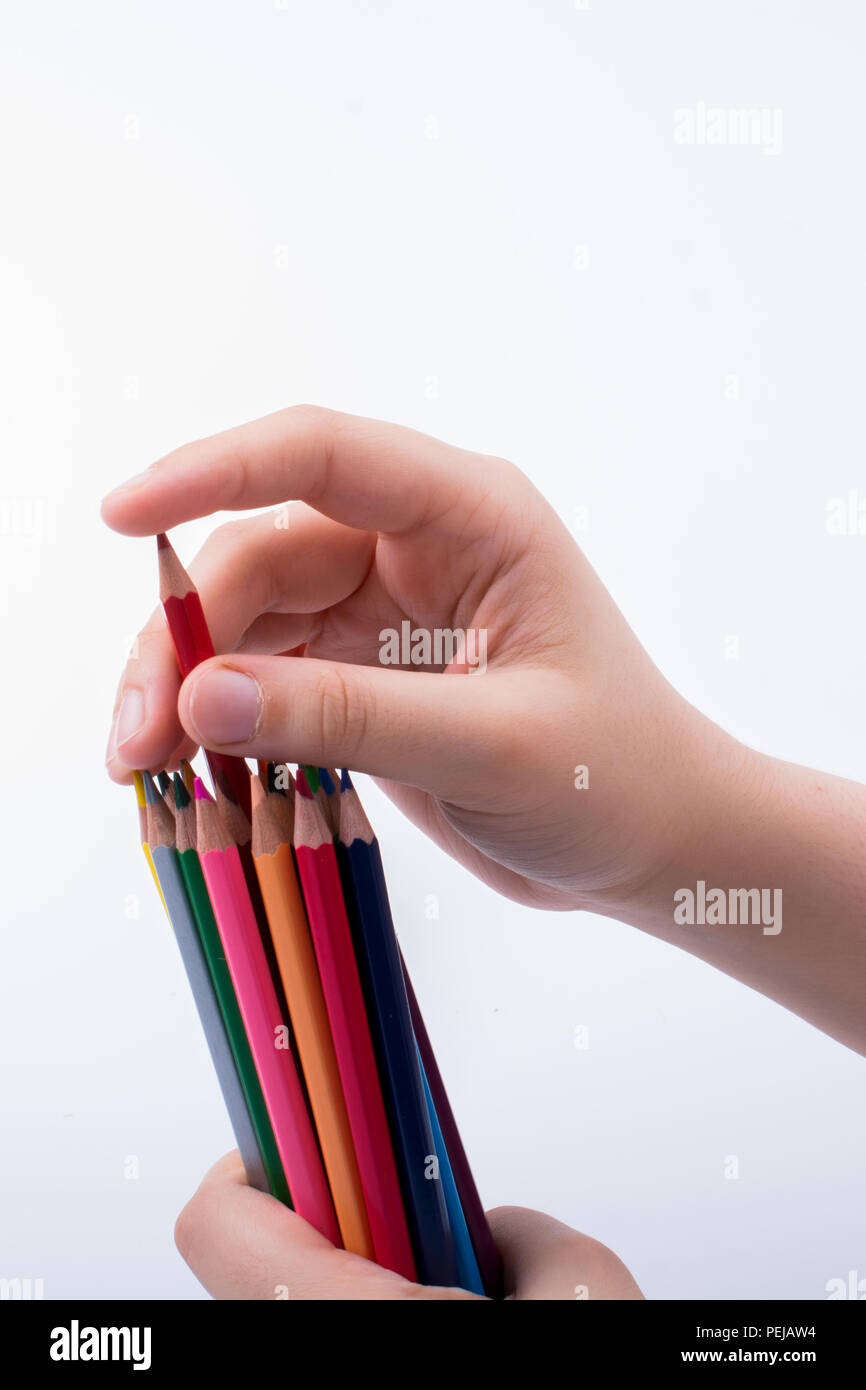 Hand holding color Pencils placed on a white background Stock Photo - Alamy