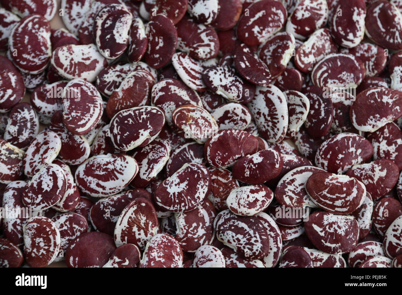 Common beans hi-res stock photography and images - Alamy