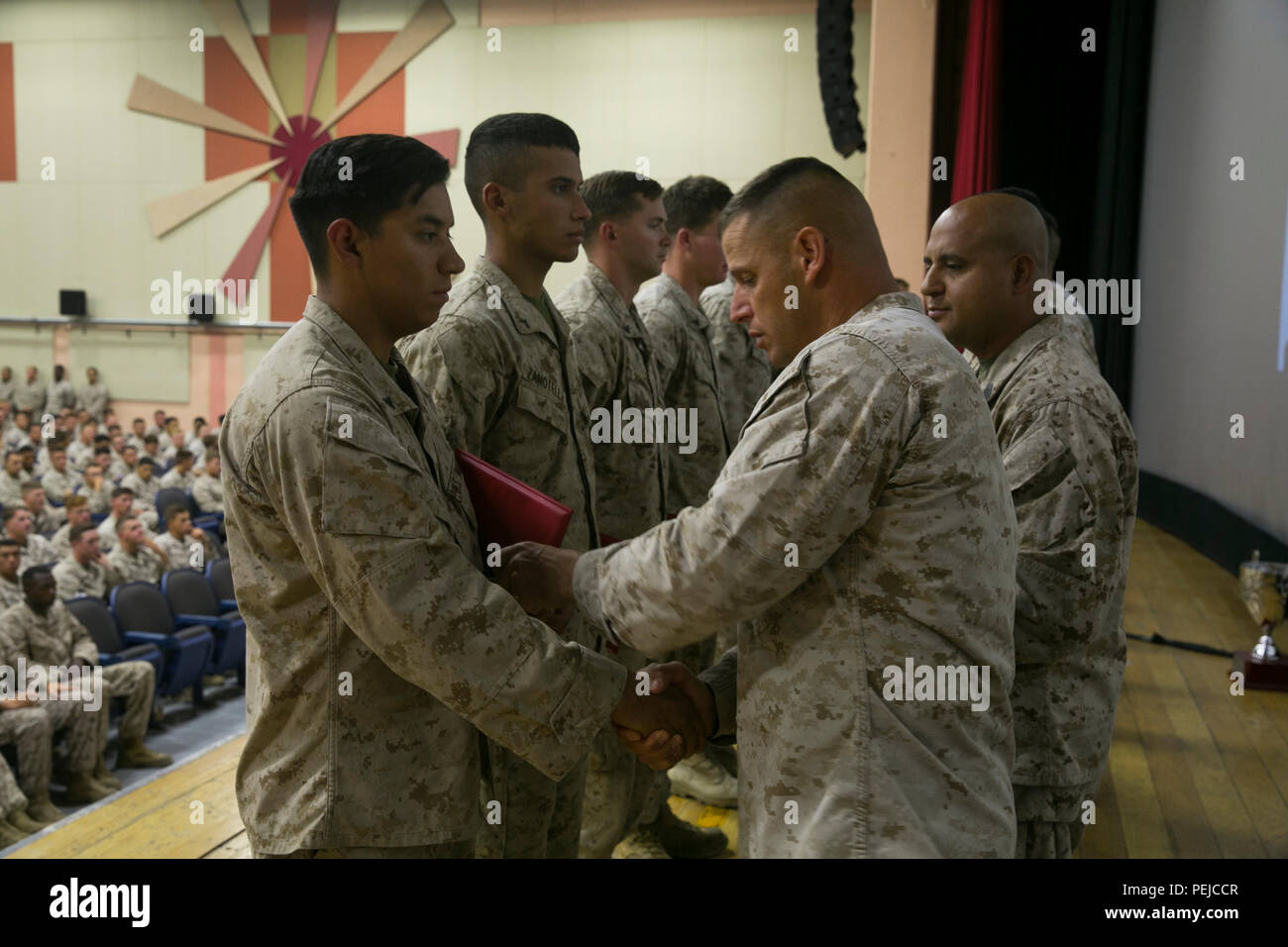 Annual rifleman competition badges hi-res stock photography and images ...