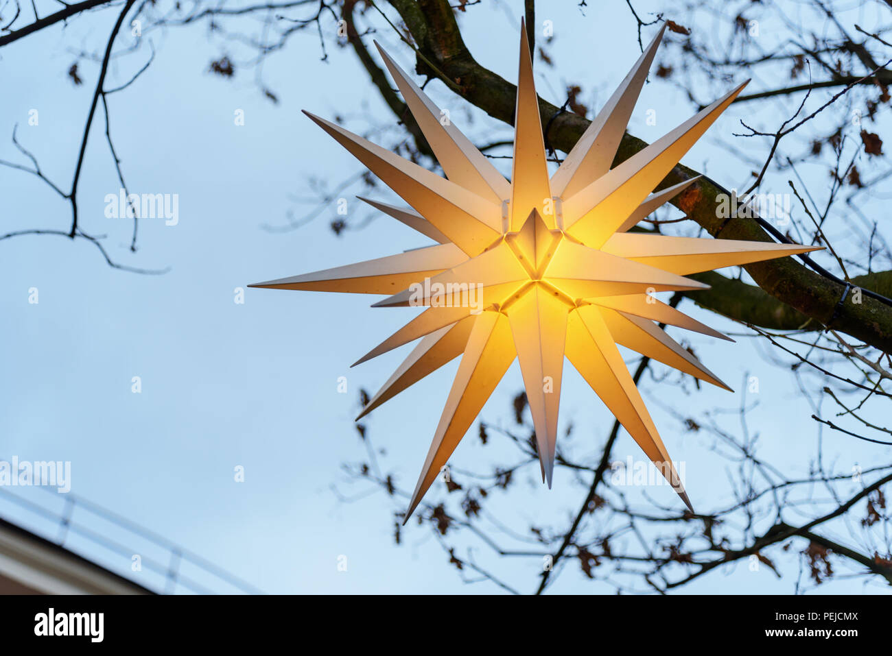 Star lantern light on the tree in winter Stock Photo - Alamy