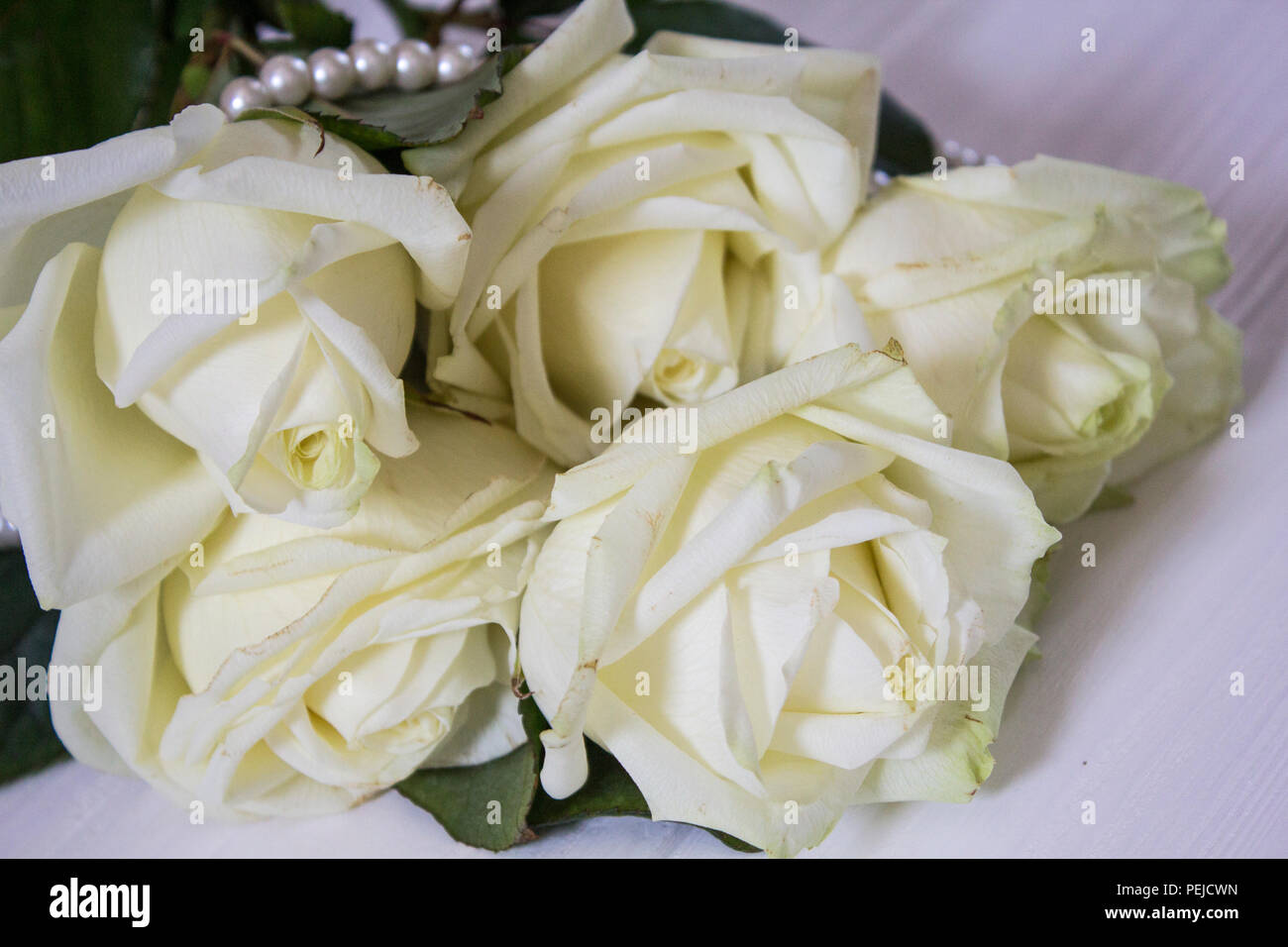 White roses on a white wooden background. White roses and pearls Stock ...